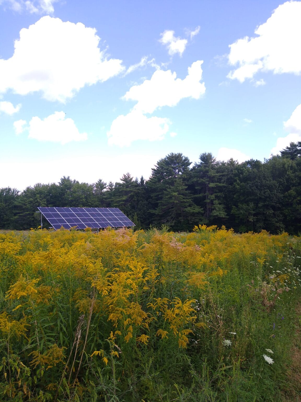 10 Years By The Numbers | Solar Power Impact | Maine Solar Solutions